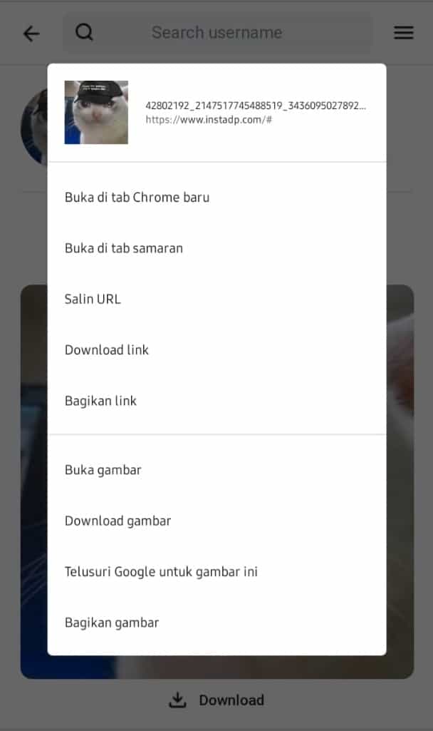 2 Cara Melihat Foto Profil Instagram Ukuran Penuh Mudah dan Praktis